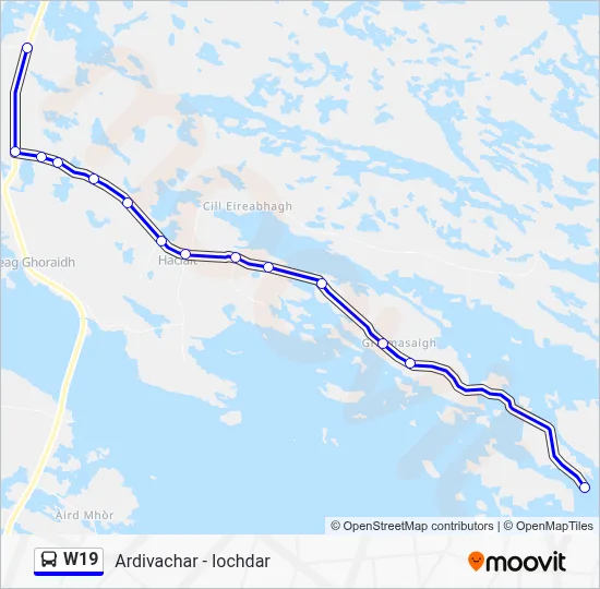 W19 Route: Schedules, Stops & Maps - Petersport (Updated)