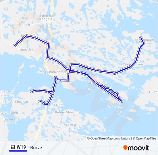 w19 Route: Schedules, Stops & Maps - Borve (Updated)