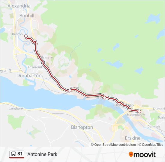 81 Route: Schedules, Stops & Maps - Antonine Park (Updated)