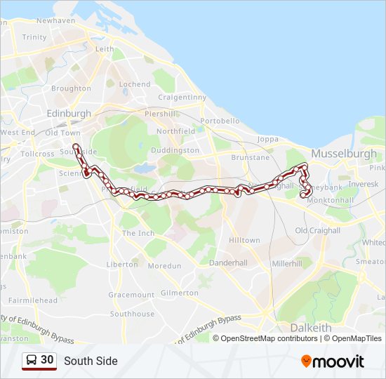 30 Route: Schedules, Stops & Maps - South Side (Updated)