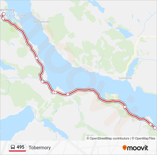 495 Route: Schedules, Stops & Maps - Tobermory (Updated)