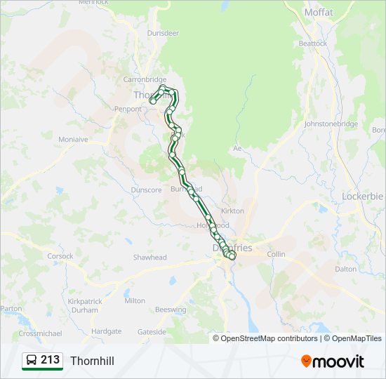 213 Route: Schedules, Stops & Maps - Thornhill (Updated)