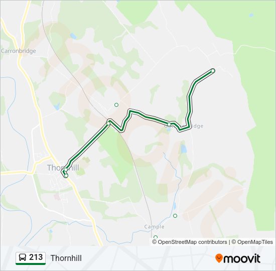 213 Route: Schedules, Stops & Maps - Thornhill (Updated)