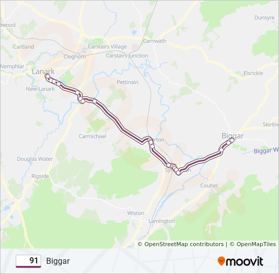 91 Route: Schedules, Stops & Maps - Biggar (Updated)