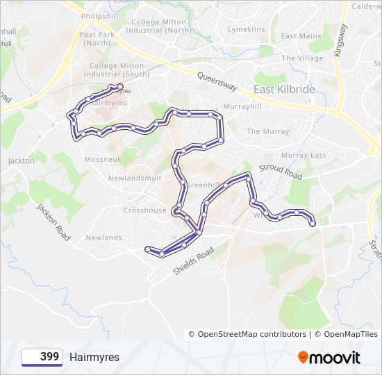 399 Route: Schedules, Stops & Maps - Hairmyres (Updated)