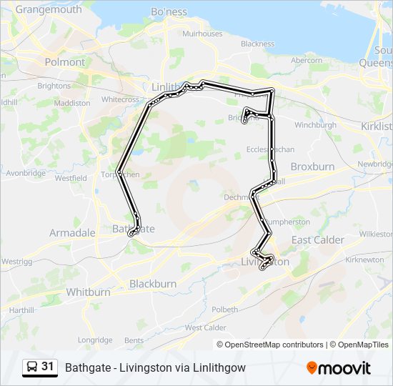 31 Route: Schedules, Stops & Maps - Livingston (Updated)