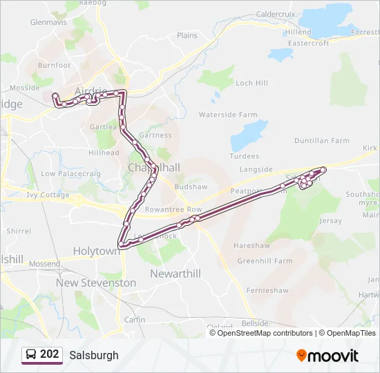 202 Route: Schedules, Stops & Maps - Salsburgh (Updated)