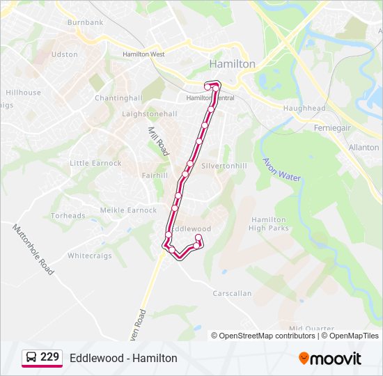 229 Route: Schedules, Stops & Maps - Hamilton (Updated)