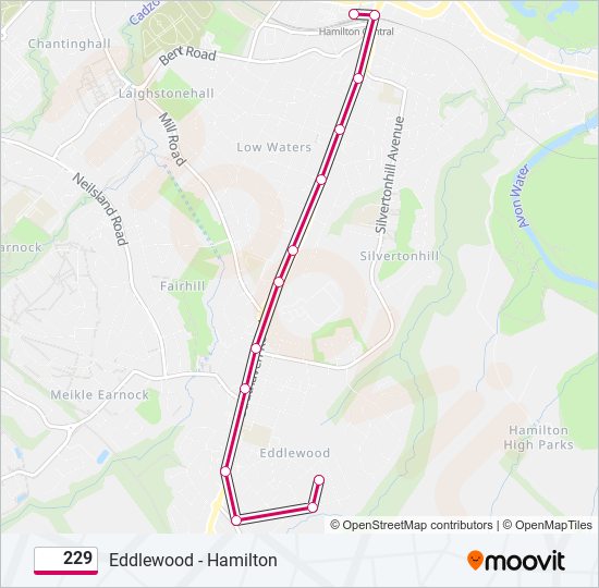 229 Route: Schedules, Stops & Maps - Hamilton (Updated)