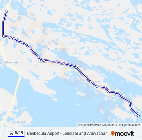 W19 Route: Schedules, Stops & Maps - Petersport (Updated)