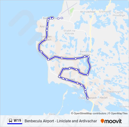 w19 Route: Schedules, Stops & Maps - Creagory (Updated)