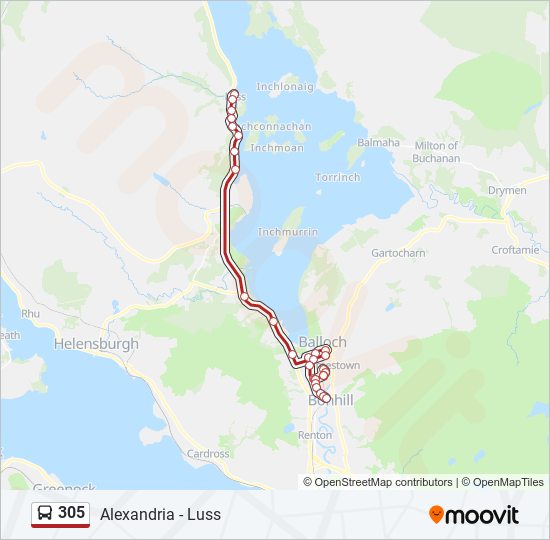 305 Route: Schedules, Stops & Maps - Alexandria (Updated)