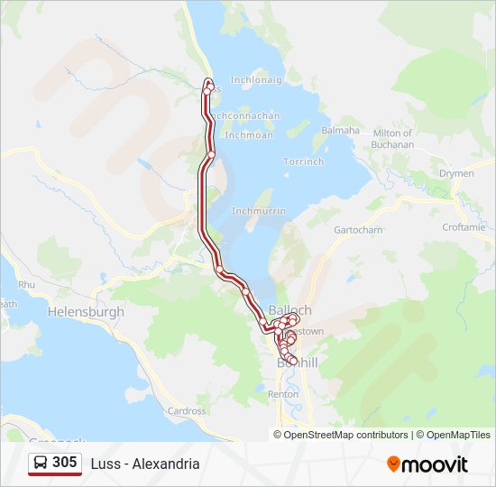 305 Route: Schedules, Stops & Maps - Alexandria (Updated)