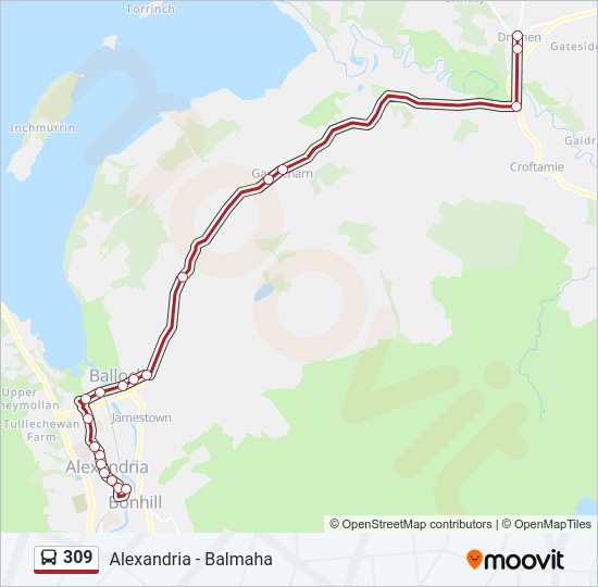 309 Route: Schedules, Stops & Maps - Drymen (Updated)