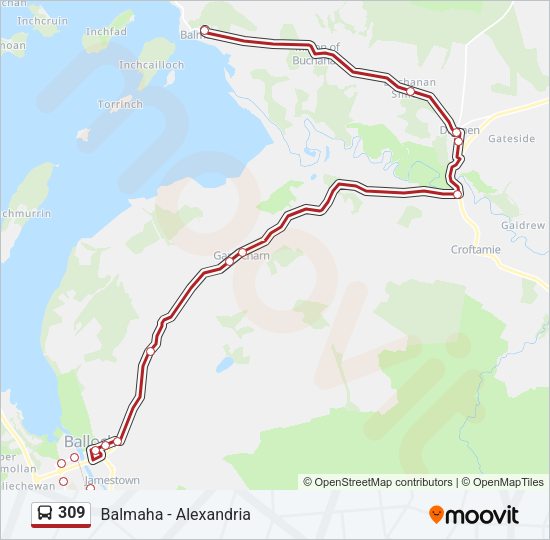 309 Route: Schedules, Stops & Maps - Balmaha (Updated)