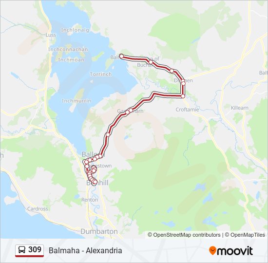 309 Route: Schedules, Stops & Maps - Balmaha (Updated)