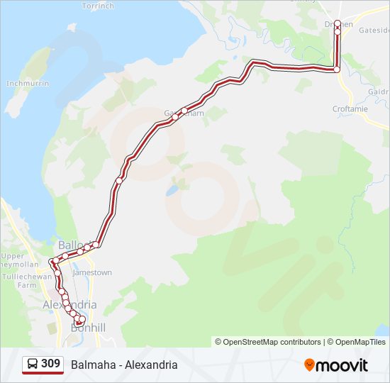 309 Route: Schedules, Stops & Maps - Drymen (Updated)