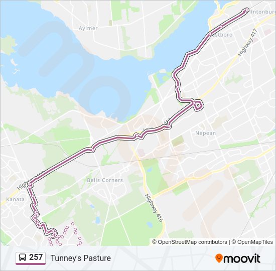 257 Route: Schedules, Stops & Maps - Bridlewood (Updated)