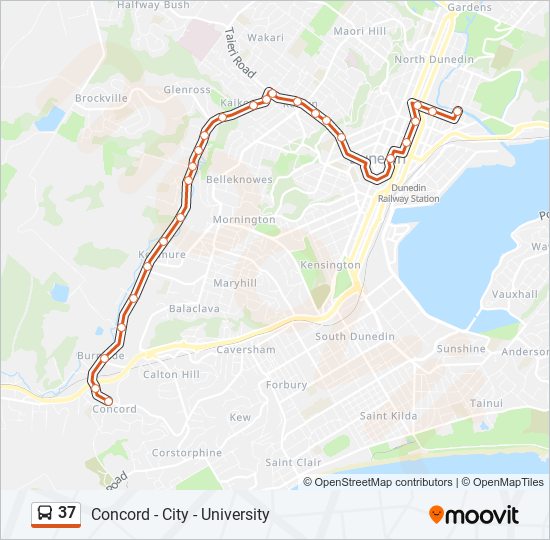 37 Route: Schedules, Stops & Maps - University (Updated)