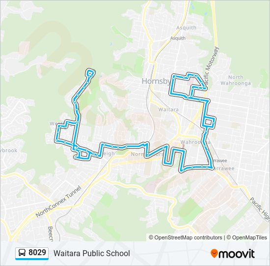 8029 Route: Schedules, Stops & Maps - Waitara Public School (Updated)
