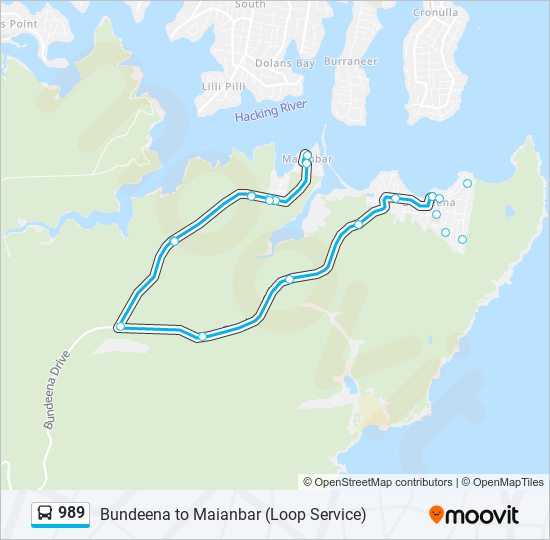 989 Route: Schedules, Stops & Maps - Bundeena Ferry Wharf (Updated)