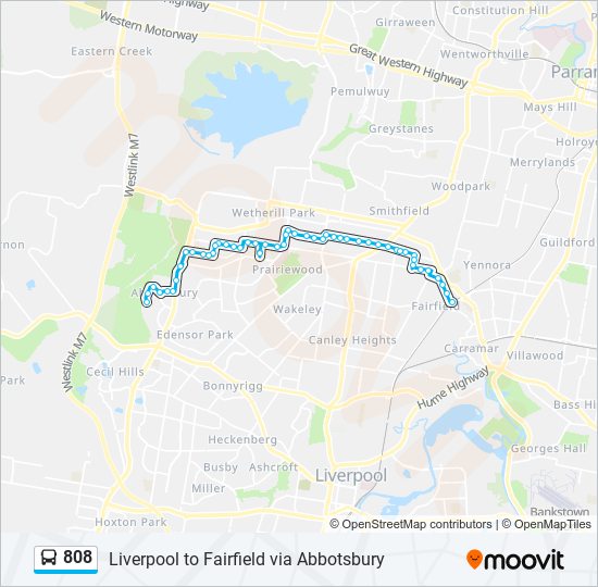 808 Route: Schedules, Stops & Maps - Darling St at Province St (Updated)