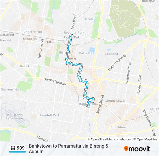 909 Route: Schedules, Stops & Maps - Regents Park Library (Updated)