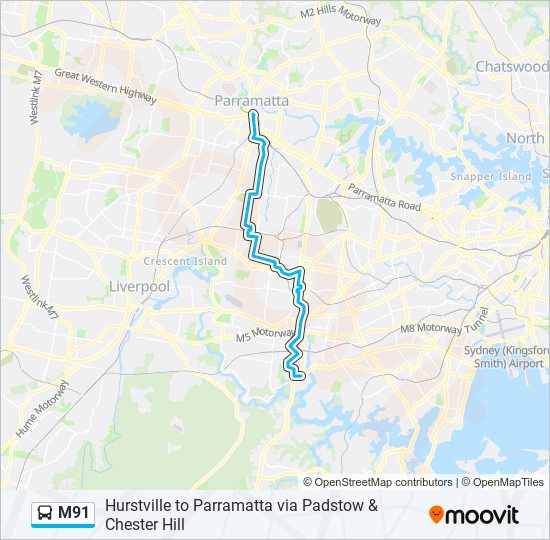 m91 Route: Schedules, Stops & Maps - Walter Skelton Village (Updated)