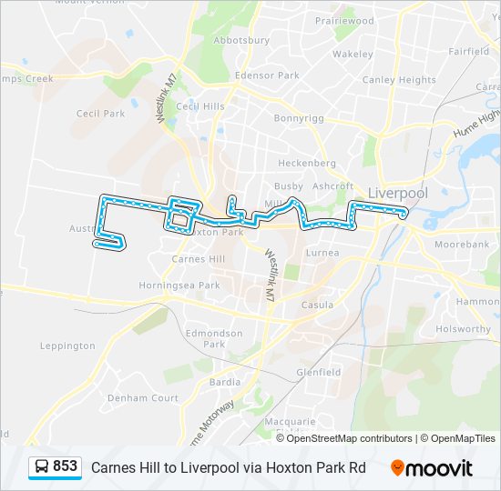 853 Route: Schedules, Stops & Maps - Austral PS (Updated)