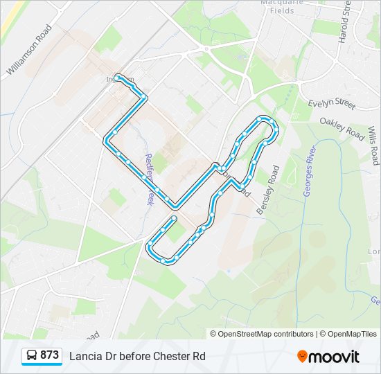 873 Route: Schedules, Stops & Maps - Lancia Dr before Chester Rd (Updated)