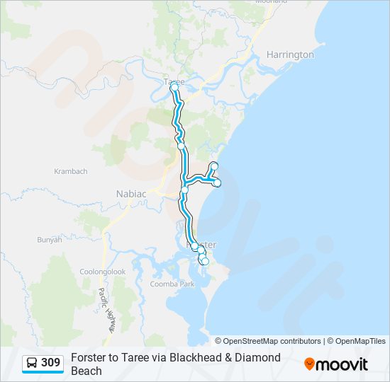309 Route: Schedules, Stops & Maps - Taree (Updated)