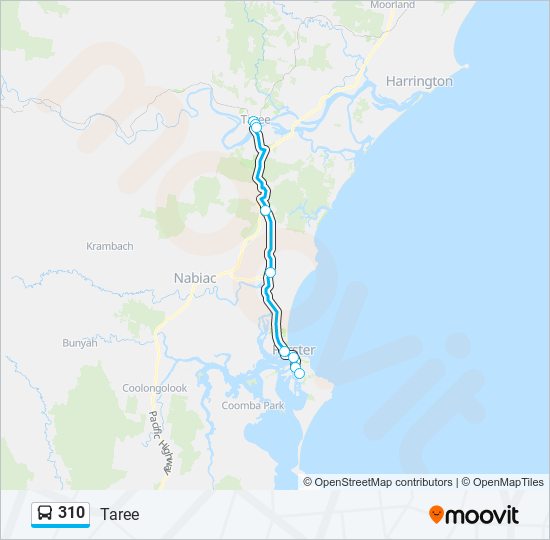 310 Route: Schedules, Stops & Maps - Taree (Updated)