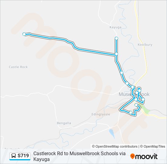 s719 Route: Schedules, Stops & Maps - Muswellbrook (Updated)