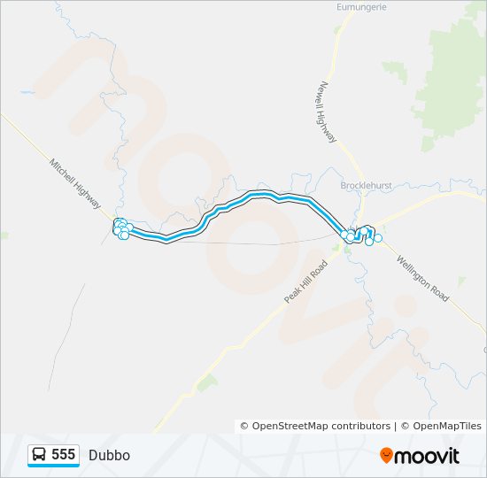 555 Route: Schedules, Stops & Maps - Dubbo (Updated)