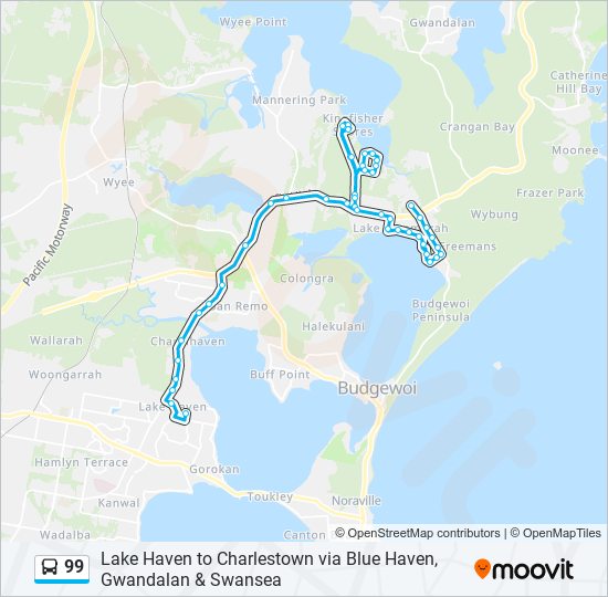 99 Route: Schedules, Stops & Maps - Lake Munmorah (Updated)