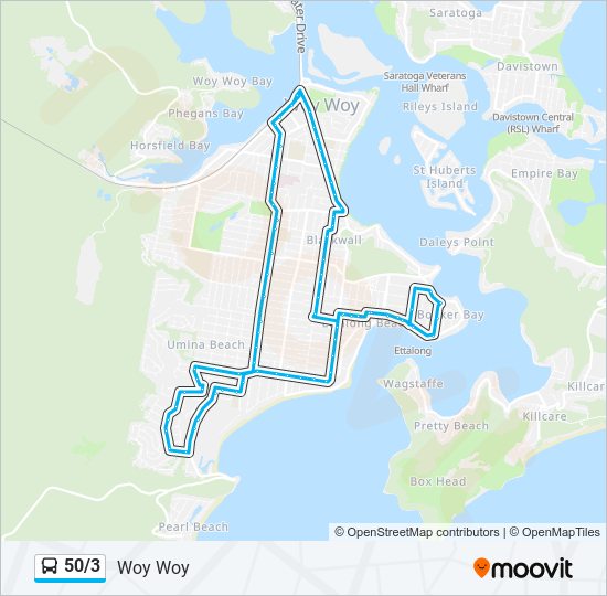 503 Route: Schedules, Stops & Maps - Woy Woy (Updated)