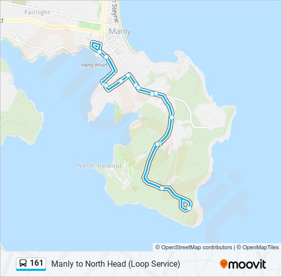 161 Route: Schedules, Stops & Maps - Manly Whrf Hotel (Updated)