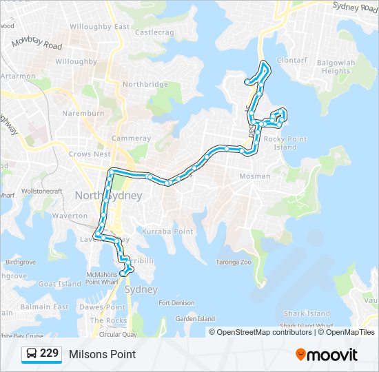 229 Route: Schedules, Stops & Maps - Milsons Point (Updated)
