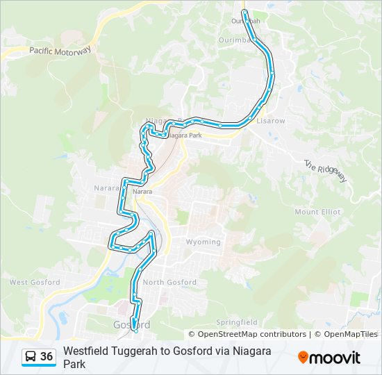 36 Route: Schedules, Stops & Maps - Gosford (Updated)