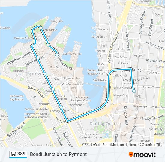 389 Route: Schedules, Stops & Maps - Q.V.B. York St (Updated)