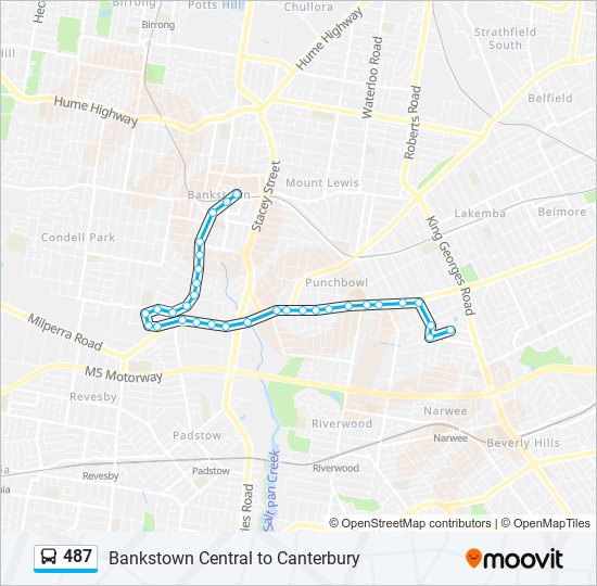 487 Route: Schedules, Stops & Maps - Roselands (Updated)