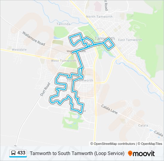 433 Route: Schedules, Stops & Maps - South 2 Dibar Drive (Updated)