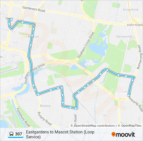307 Route: Schedules, Stops & Maps - Mascot Stn (Coward St) (Updated)