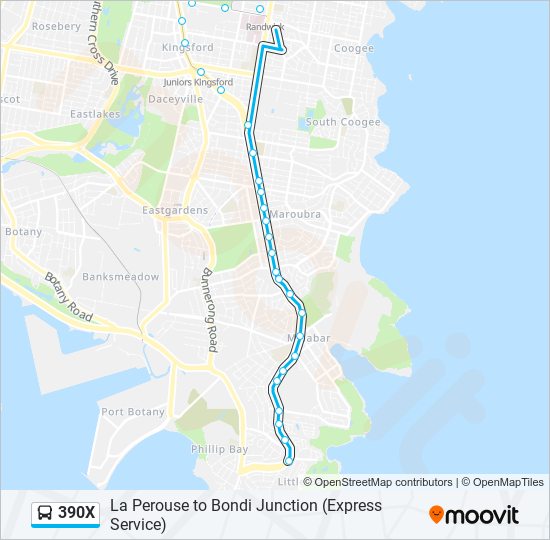 390x Route: Schedules, Stops & Maps - Little Bay (Updated)