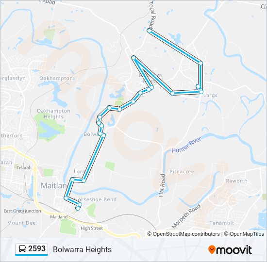 2593 Route: Schedules, Stops & Maps - Bolwarra Heights (Updated)