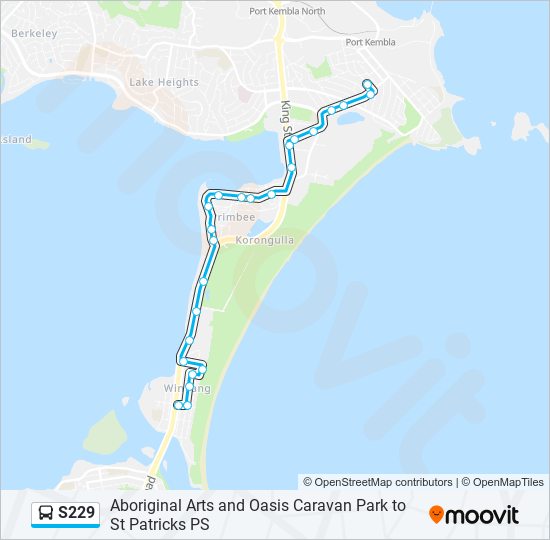 s229 Route: Schedules, Stops & Maps - Windang (Updated)