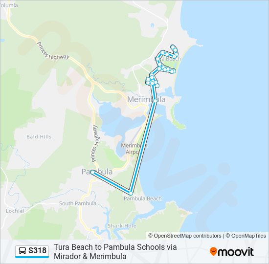 s318 Route: Schedules, Stops & Maps - Pambula Schools (Updated)