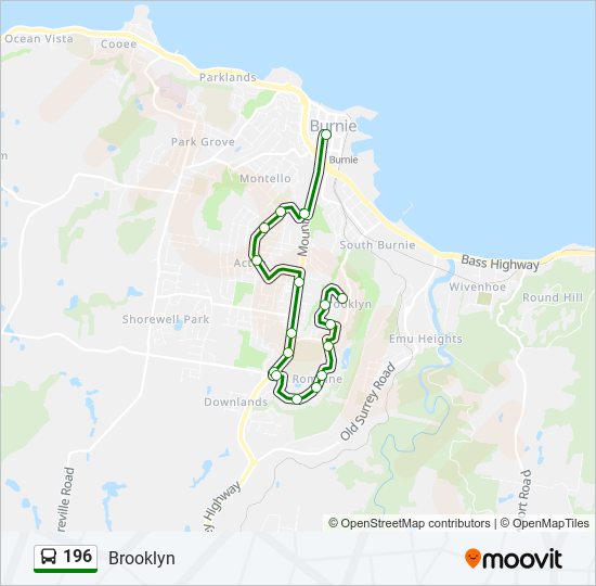 196 Route: Schedules, Stops & Maps - Brooklyn (Updated)