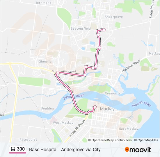 300 Route: Schedules, Stops & Maps - Caneland Central (Updated)