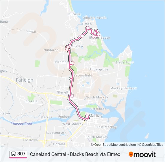 307 Route: Schedules, Stops & Maps - Blacks Beach (Updated)